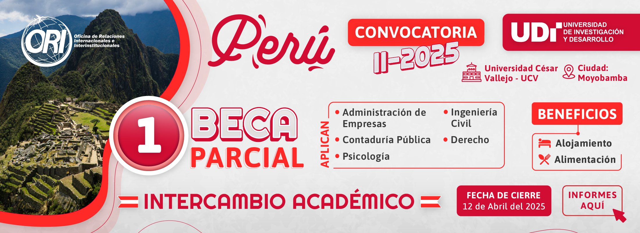 Universidad de Investigación y Desarrollo - UDI